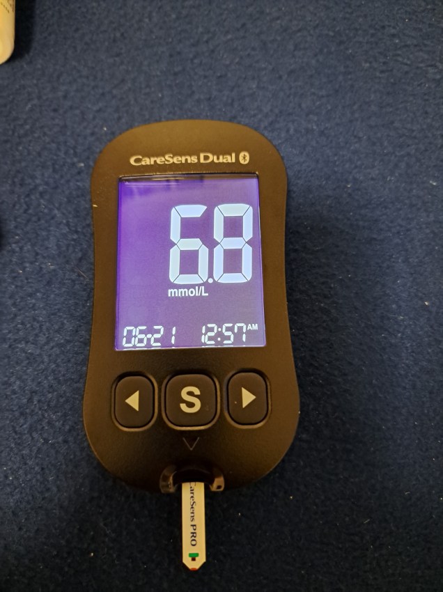 Review: CareSens Dual – The Practical Diabetic